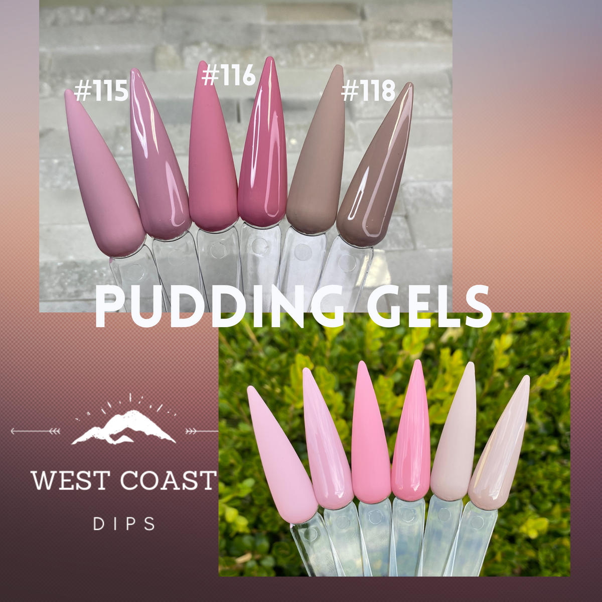 Pudding Gel #118 – West Coast Dips