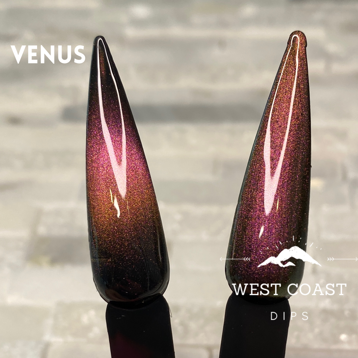 Venus – West Coast Dips